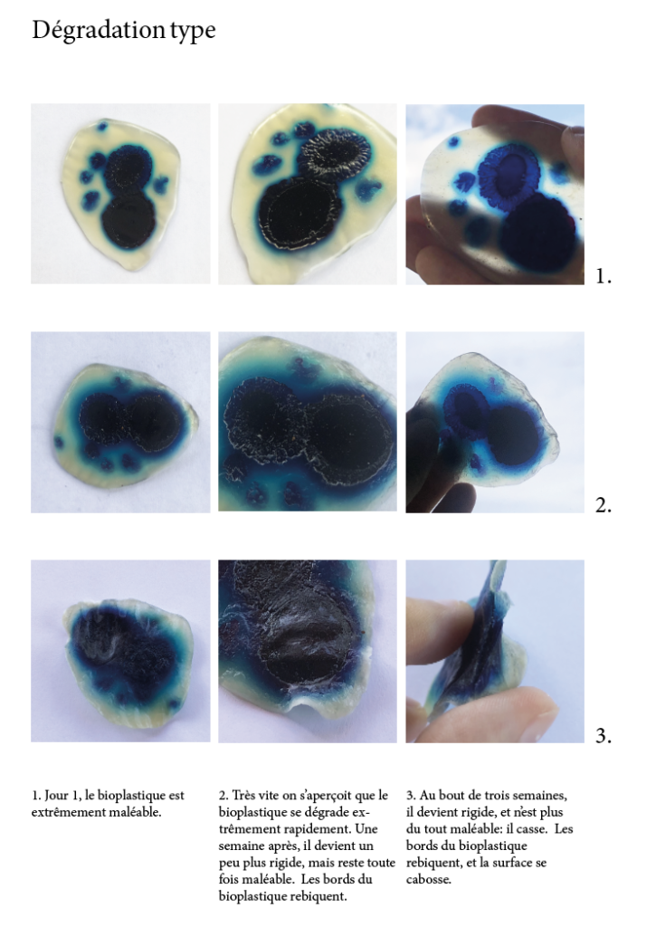 La biomatériauthèque, Emilia Pesty – Page 6 – WORKSHOP